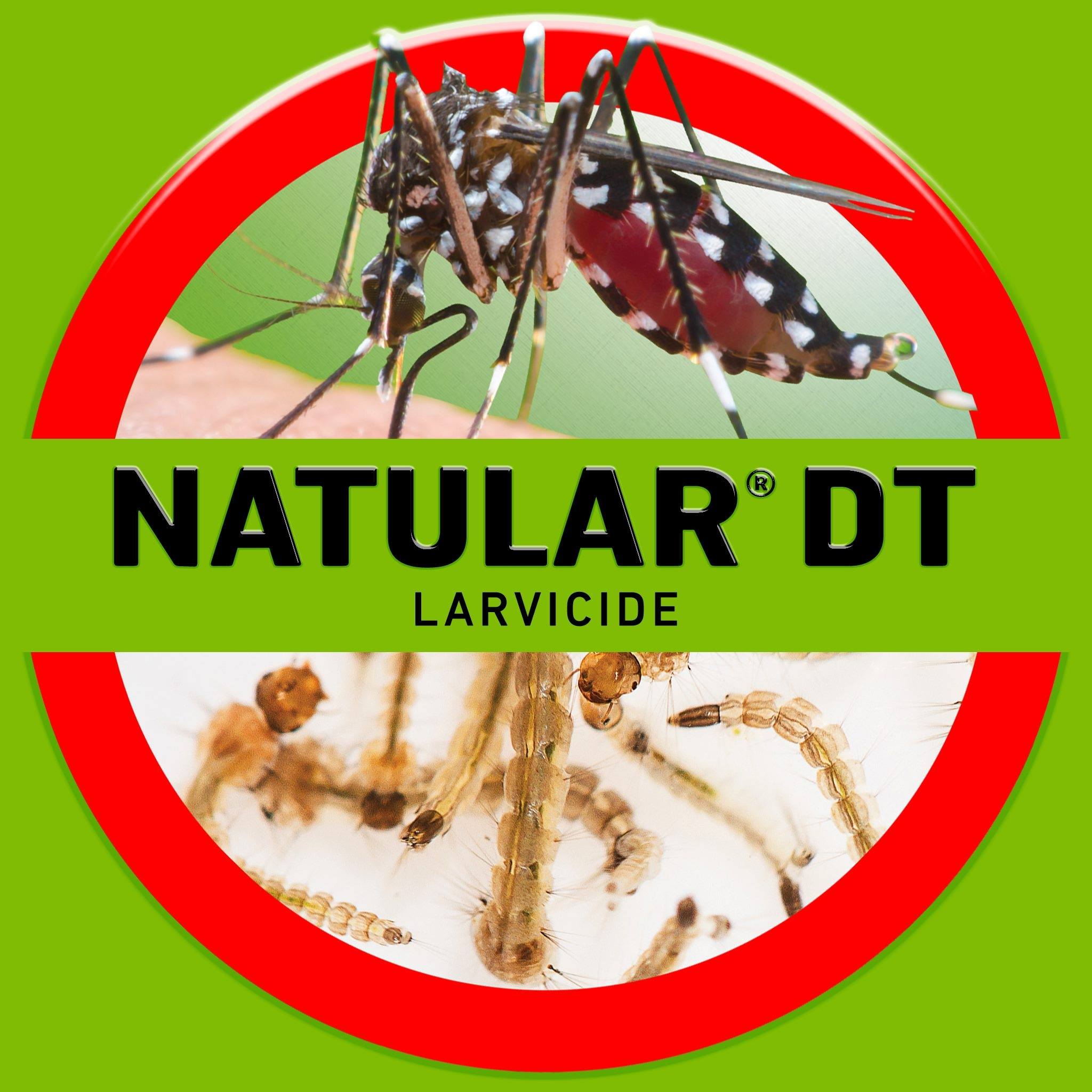 Natural DT | LarawanatKape.net